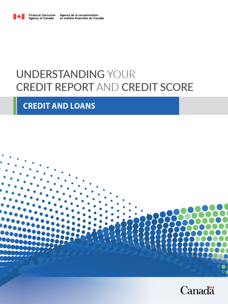 Credit Report | Download Free PDF | Credit History | Credit Card