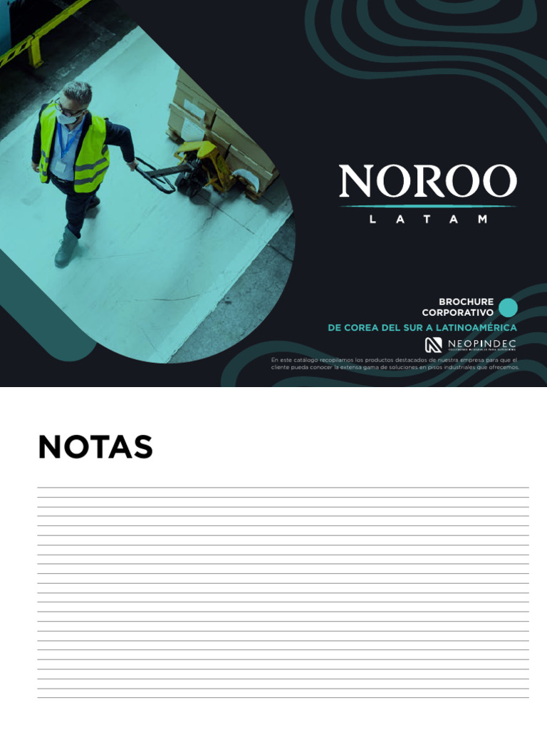 Brochure Noroo Latam 2023 | PDF | Hormigón | Epoxy