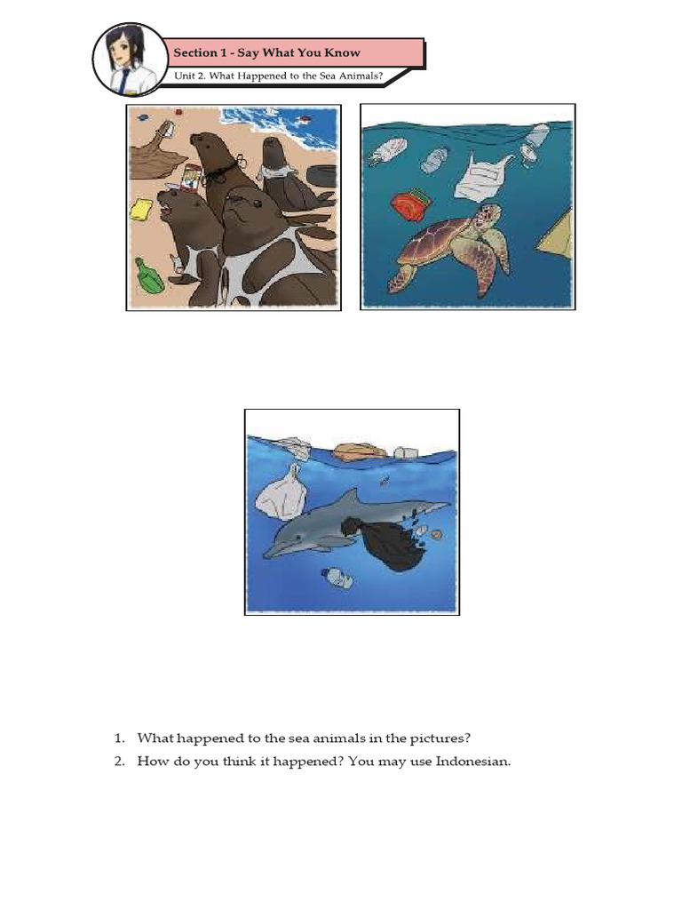 Chapter 4 (Unit 2) | PDF | Sea Turtle