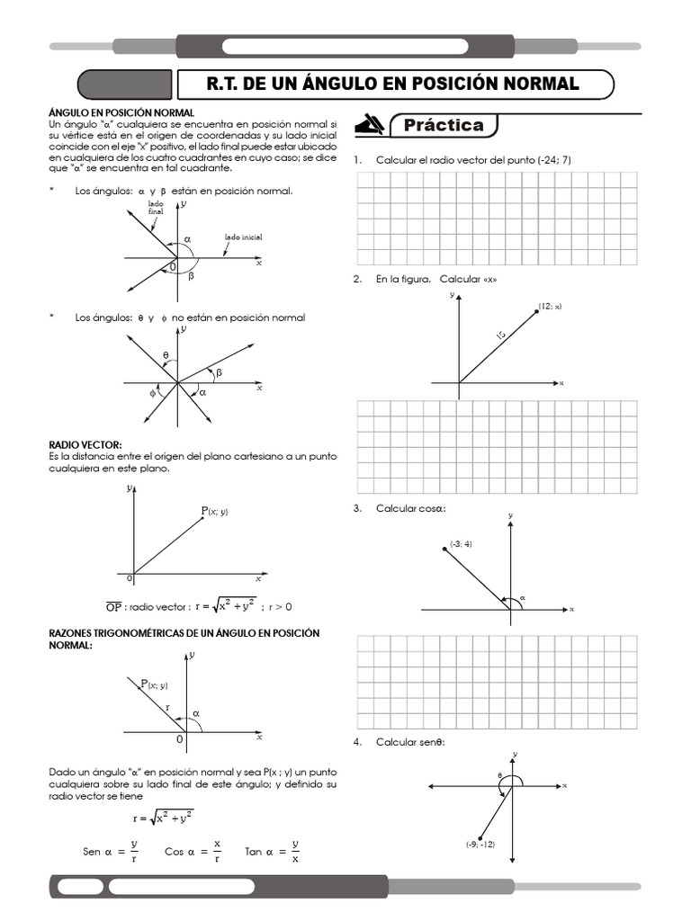 T10 - R.T de Ángulos en Posición Normal | PDF | Ángulo | Medida Geométrica