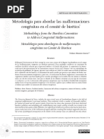 Análisis Sistemático de Causas (TASC) | PDF