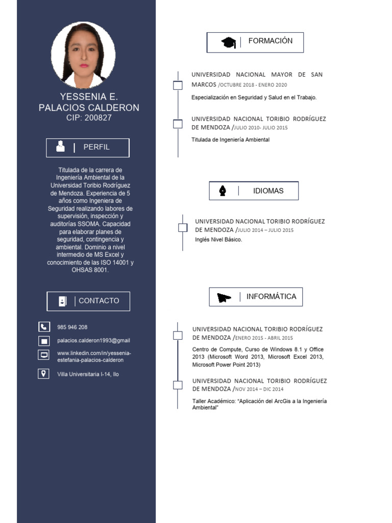 CV Yessenia E, Palacios Calderon | PDF | Microsoft | Business