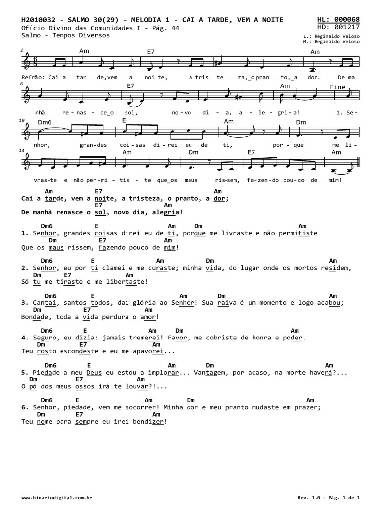 Cai A Tarde Vem A Noite | PDF