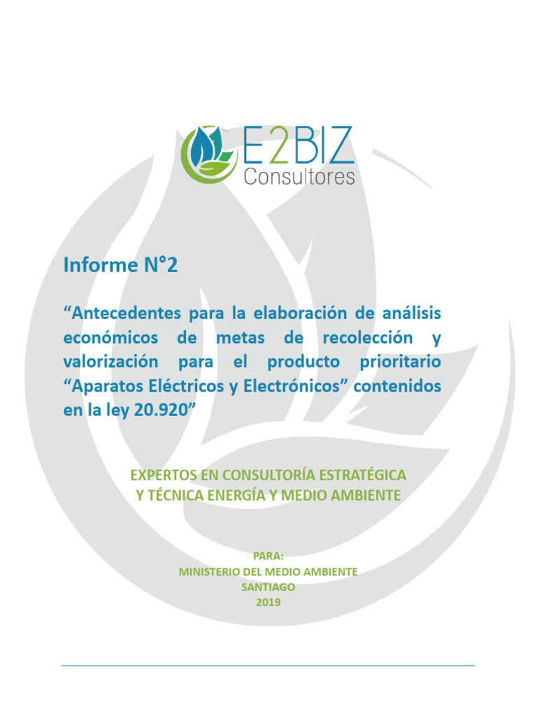 INFORME No2 FINAL RAEE 2019 07 04 | PDF | Residuos | Reciclaje