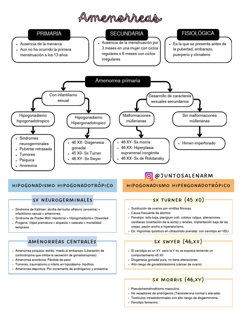 Amenorreas | PDF | Sistema endocrino | Especialidades Medicas