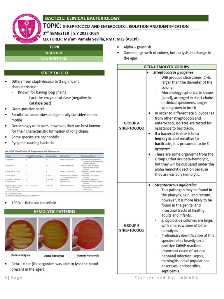 Identification of Streptococci Bacteria | PDF | Streptococcus | Medical ...