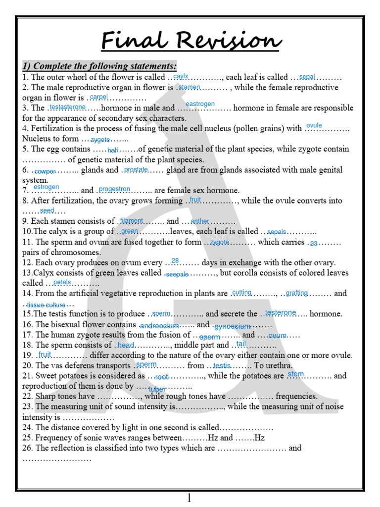Final Revision Prep 2 - 2023 | PDF | Flowers | Waves