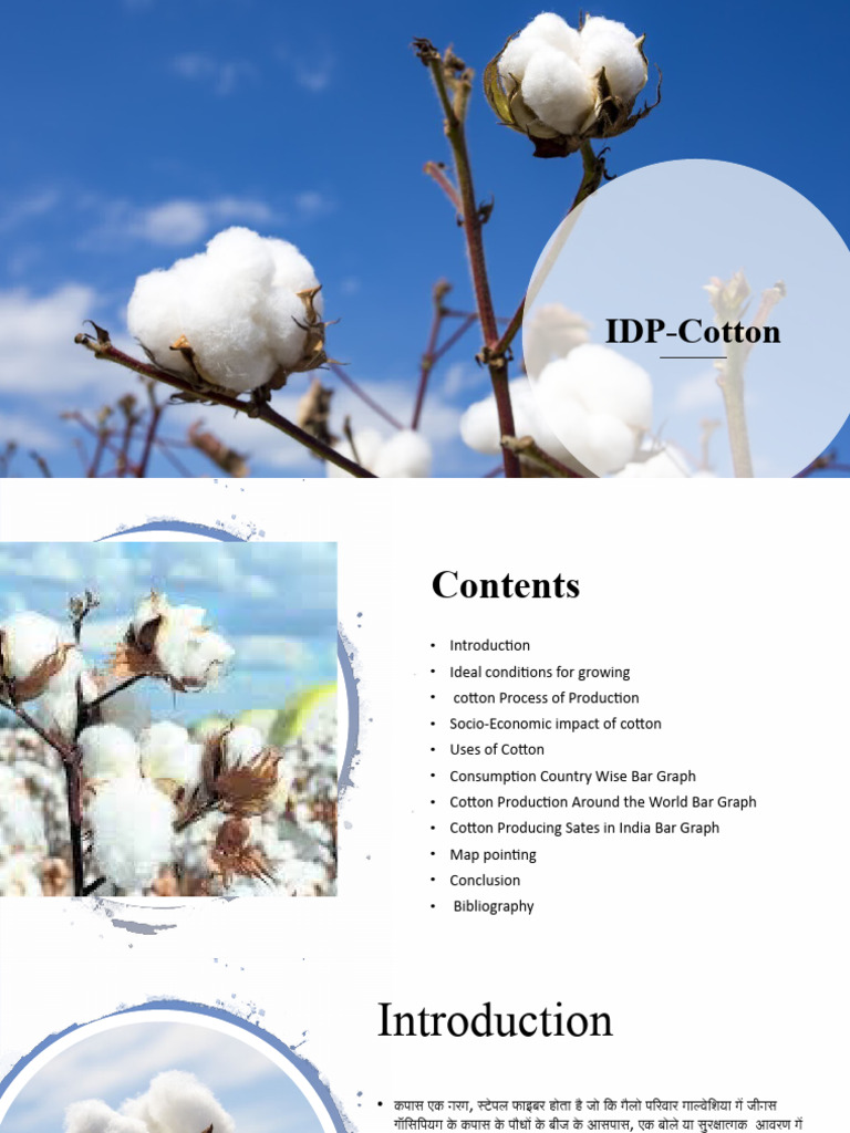 IDP Cotton | PDF | Cotton | Cottonseed