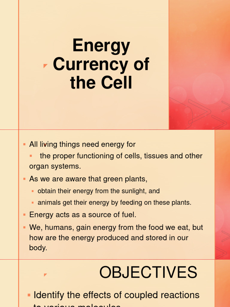 Energy Currency of The Cell | PDF | Adenosine Diphosphate | Adenosine ...