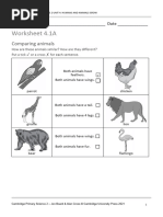 Cambridge Grade 2 Science Worksheets | PDF | English As A Second Or ...