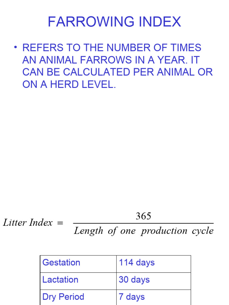 Farrowing Index and Litter Performance | PDF | Pig | Livestock