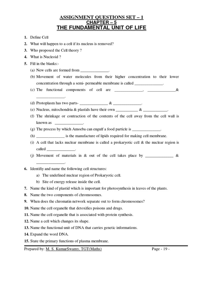 Bio Question Cells | PDF | Cell (Biology) | Endoplasmic Reticulum