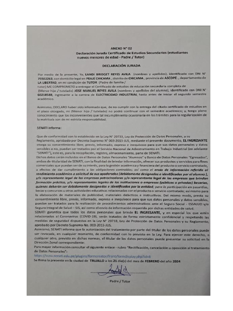 Reyes Avila Jose Manuel | PDF