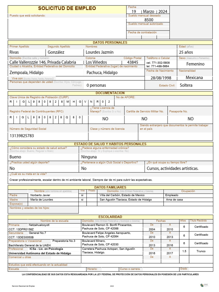 Sne Solicitud de Empleo Plantilla PDF | PDF