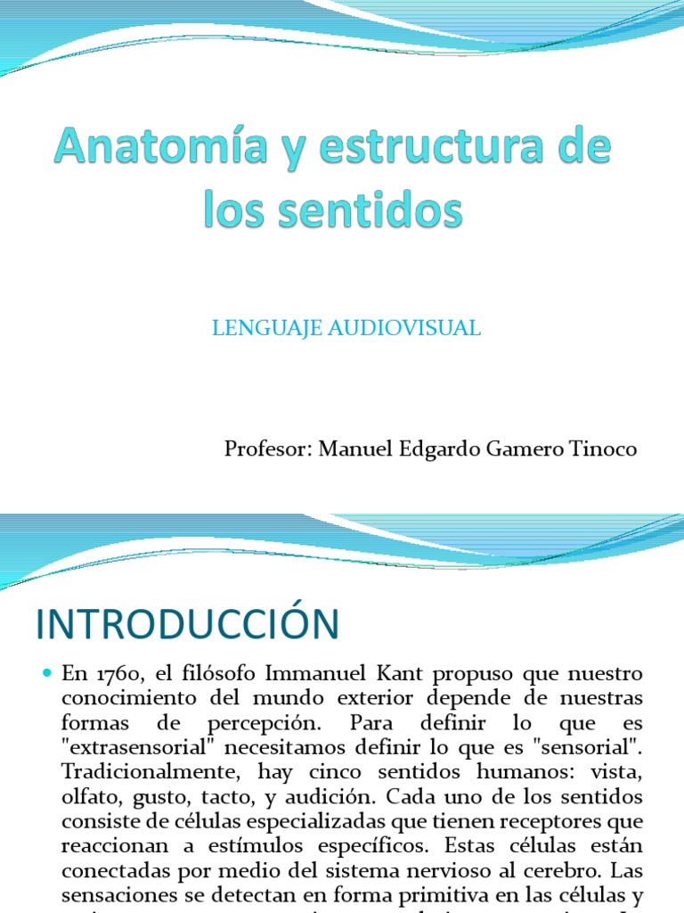 Tarea - Los Sentidos y Los Medios de Comunicación | PDF | Oído ...