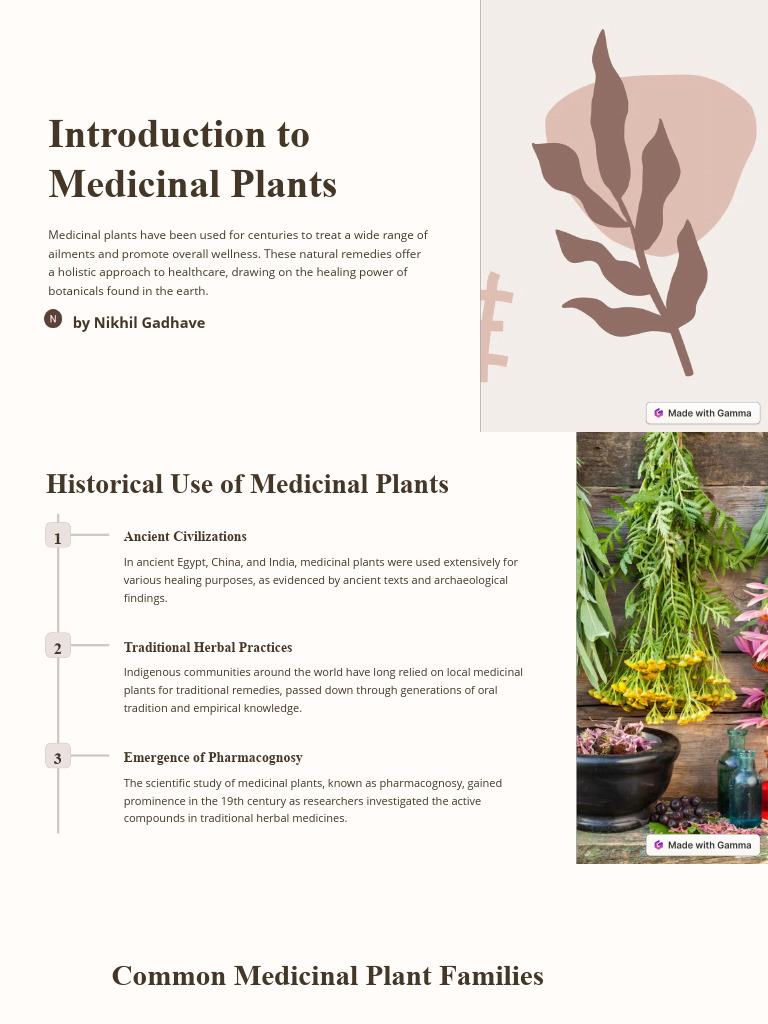 Introduction To Medicinal Plants | PDF | Conservation Biology ...