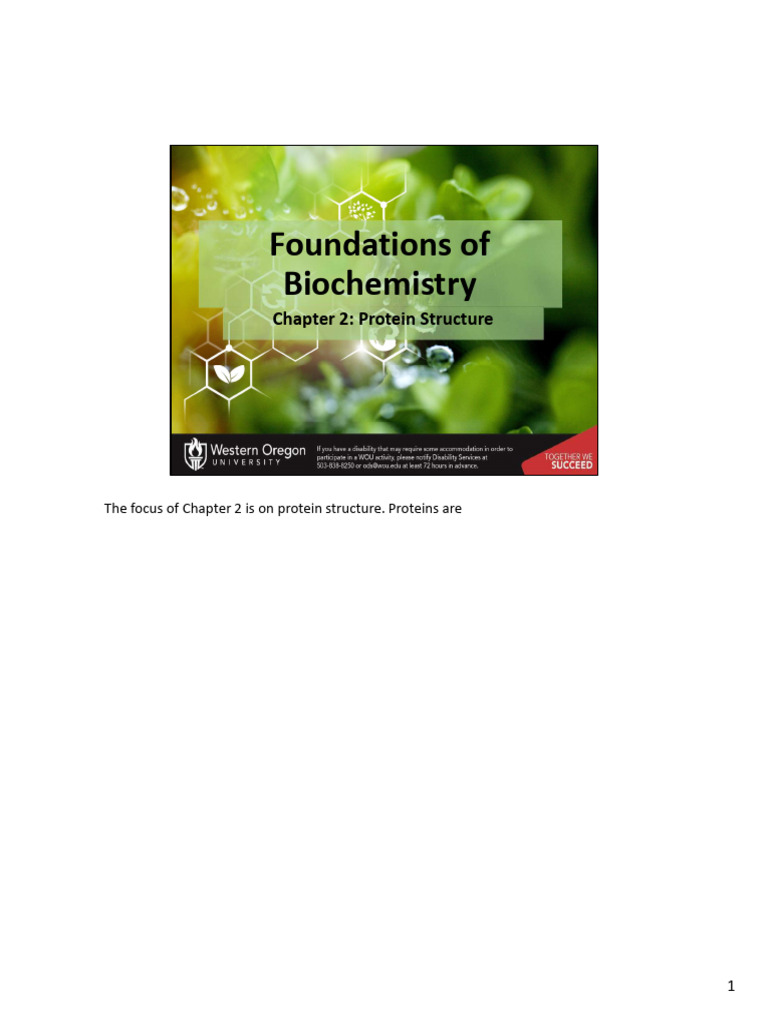 Chapter-2-Slides | PDF | Amino Acid | Beta Sheet Chapter-2-Slides | PDF | Amino Acid | Beta Sheet