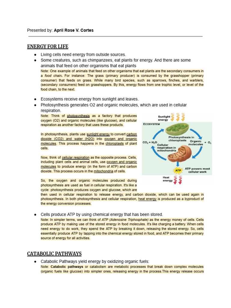 BIOLOGY 11 - Energy For Life, Catabolic Pathways, Redox Reaction | PDF ...