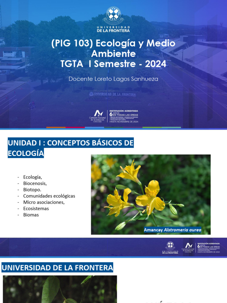 Conceptos Básicos de Ecología 2024 | PDF | Ecología | Ecosistema