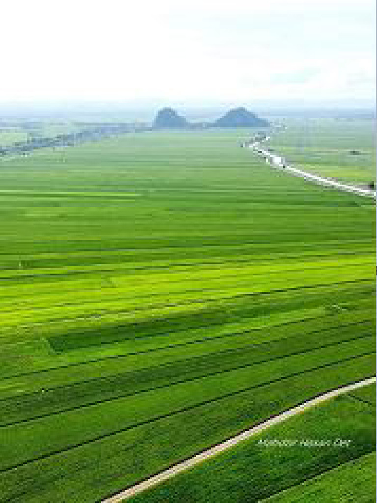 Sawah 1 | PDF