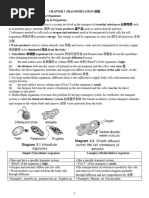 Bruce and Naughton Protocol | PDF | Physical Exercise | Cardiology