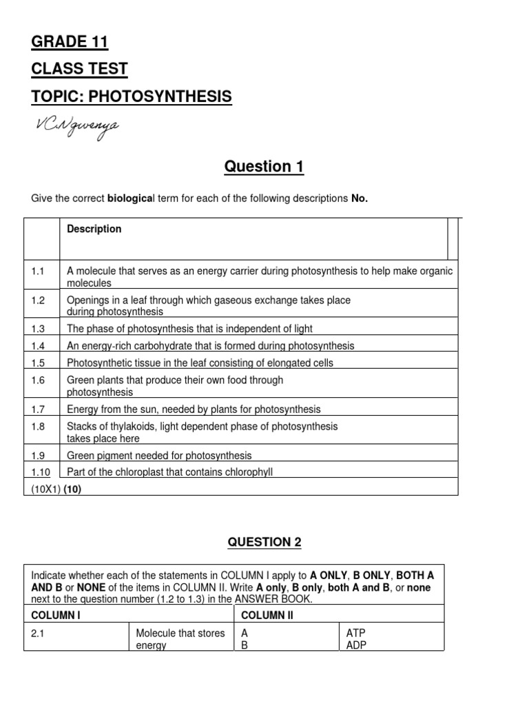 Grade 11 Class Test1 May 2023 1 | PDF | Photosynthesis | Chloroplast