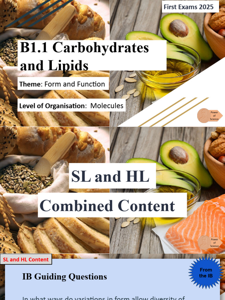 IB Biology: Carbohydrates & Lipids | PDF | Triglyceride | Fatty Acid