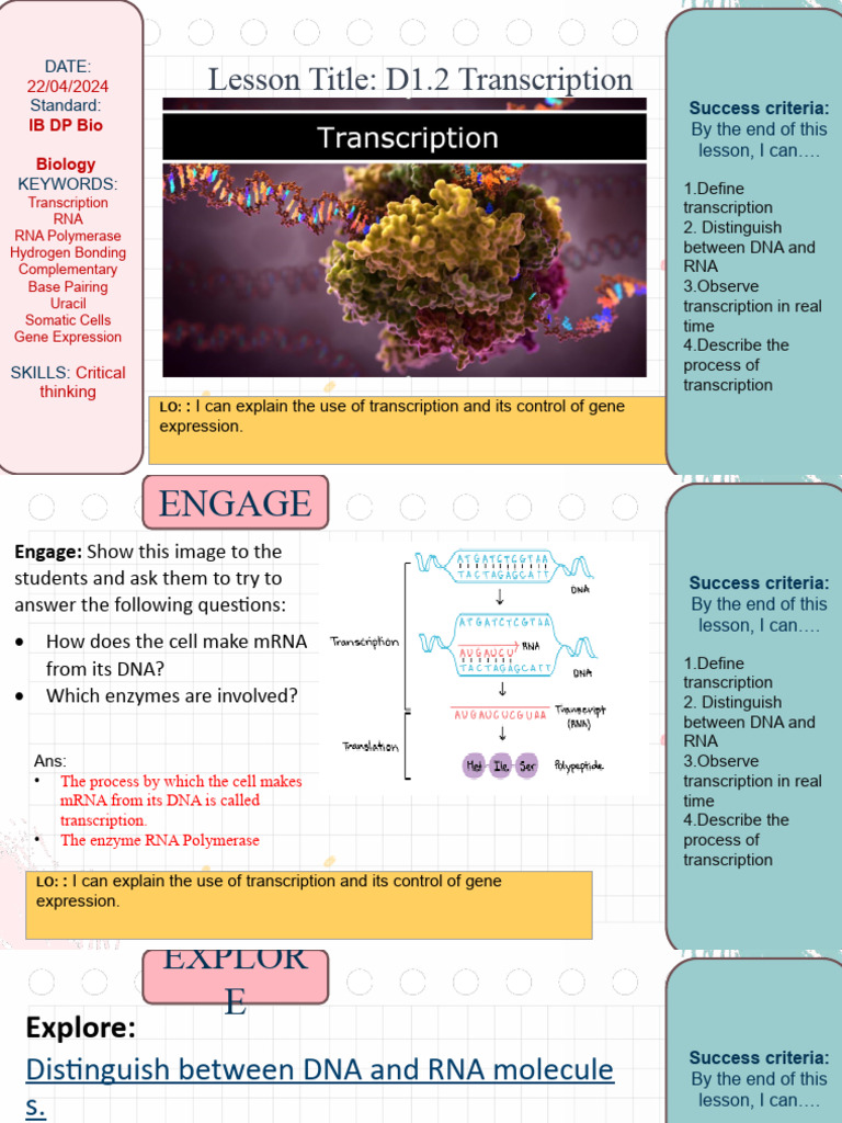 Transcription | PDF | Gene Expression | Rna