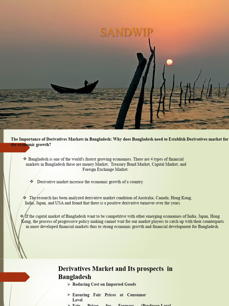 Robin Presentation | PDF | Derivative (Finance) | Market (Economics)