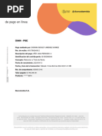 Instructivo Pagos Pse Dian | PDF