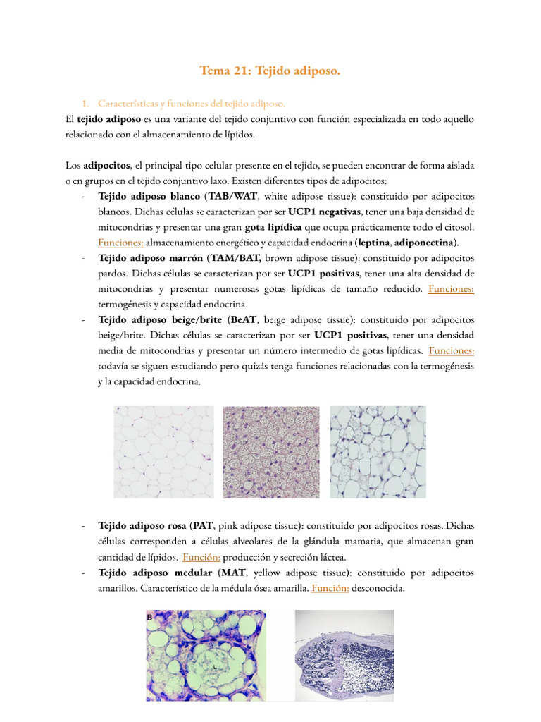 Tema 21 - Tejido Adiposo | PDF | Leptina | Tejido adiposo