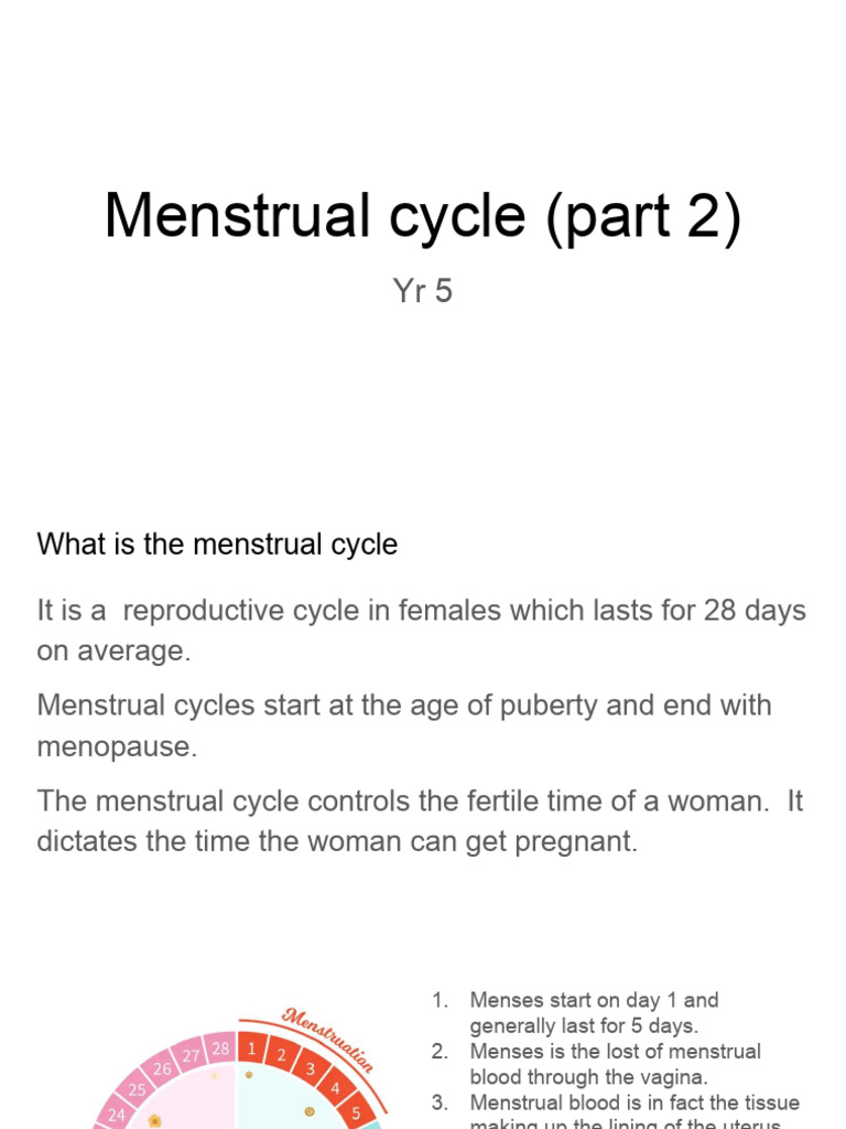 Understanding the Menstrual Cycle | PDF | Menstrual Cycle | Ovary