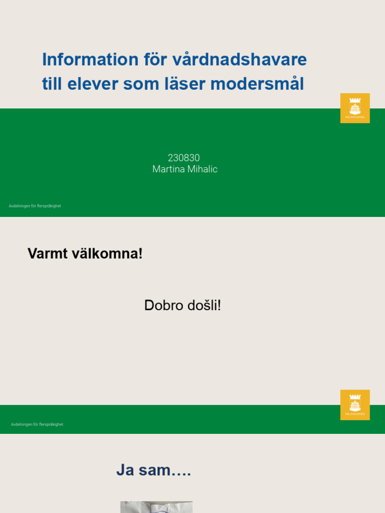 Information För Vårdnadshavare Till Elever Som Läser Modersmål | PDF