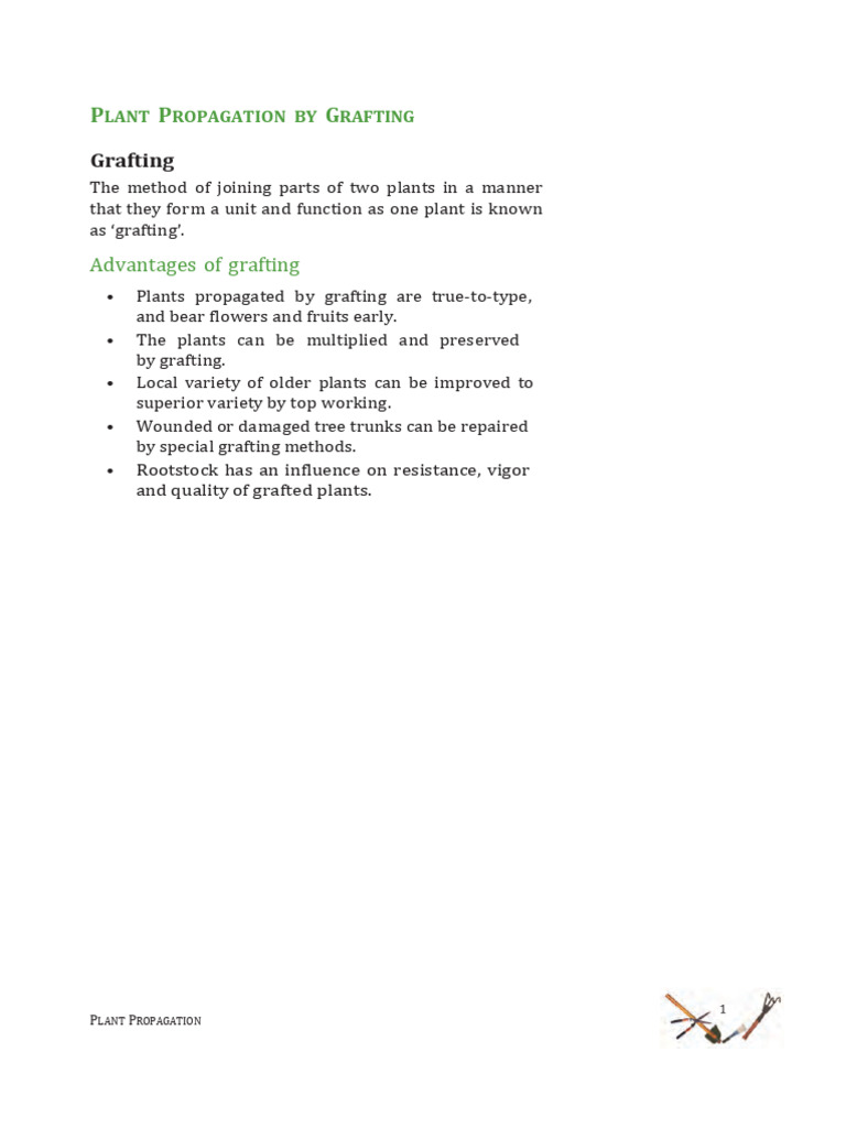 Plant Propagation by Grafting | PDF | Grafting | Plant Reproduction