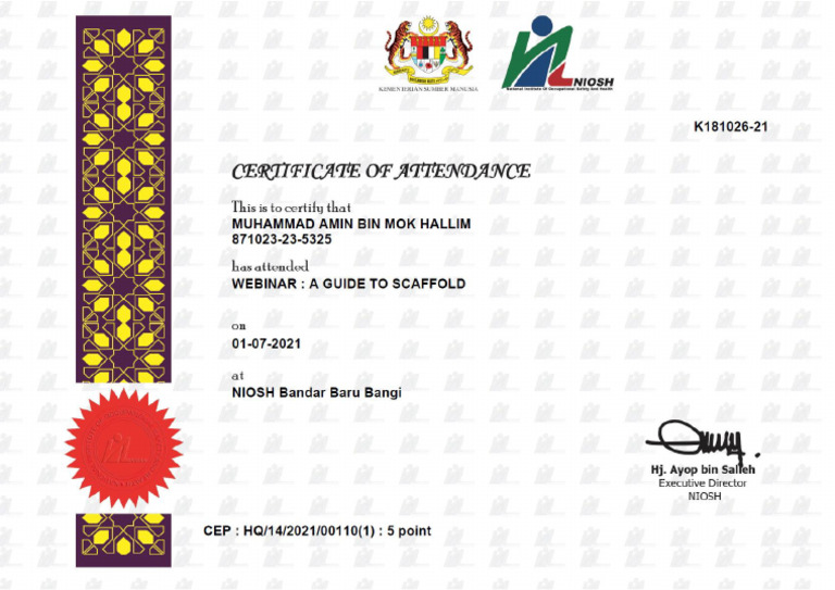 Webinar A Guide To Scaffold - NIOSH | PDF