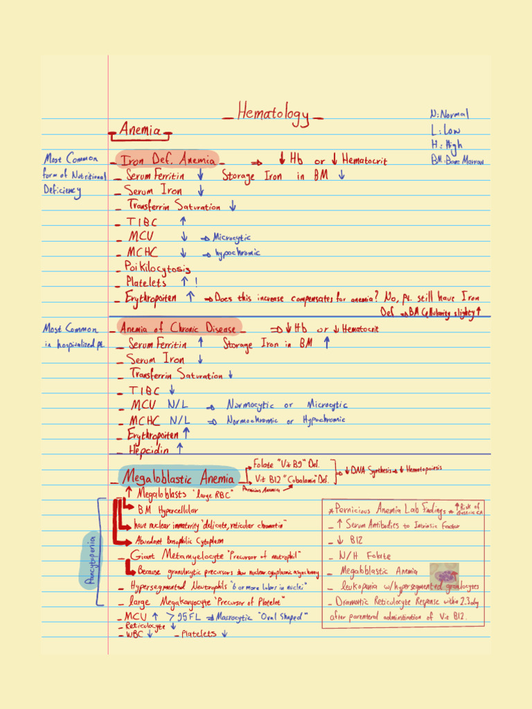 Pathology Notes "Anemia" | PDF