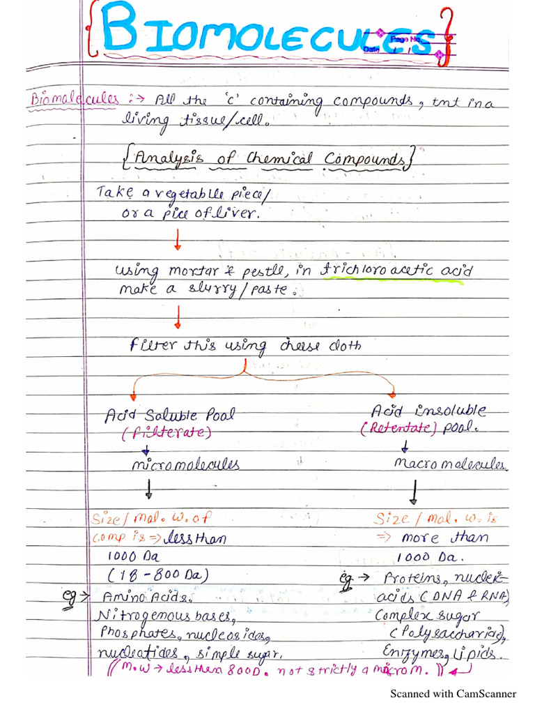 Biomolecules SAMAPTI Mam (BIO) | PDF