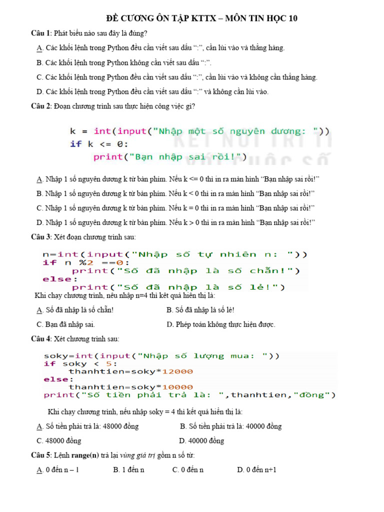 ĐỀ CƯƠNG ÔN TẬP KTTX LẦN 1 -HKII - TIN 10 | PDF