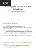 Virus Plaque Assay Protocol Guide | PDF | Virus | Biology