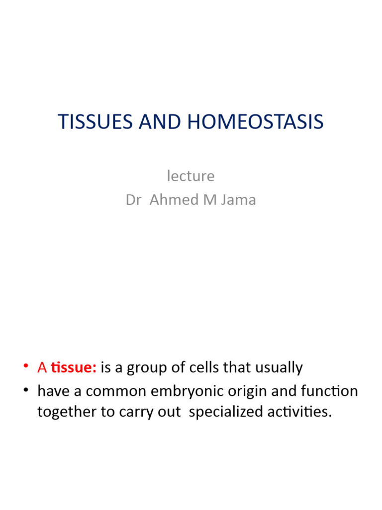 TISSUES AND HOMEOSTASIS | PDF | Muscle | Epithelium