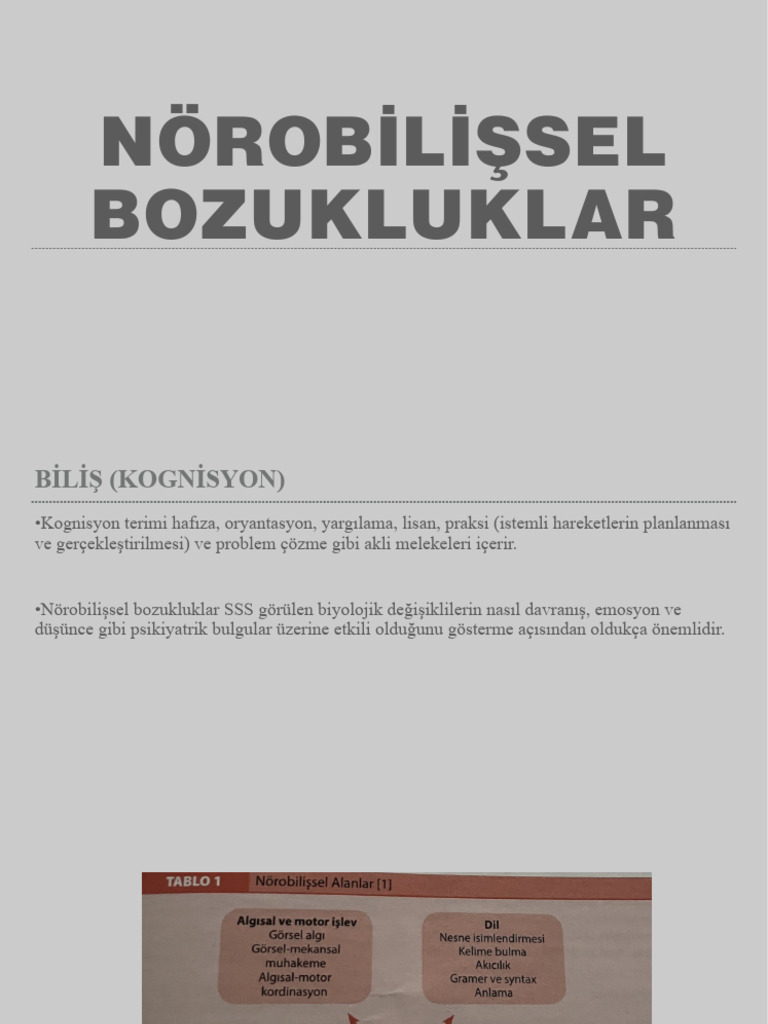 Nur Sunum NBB 3 | PDF