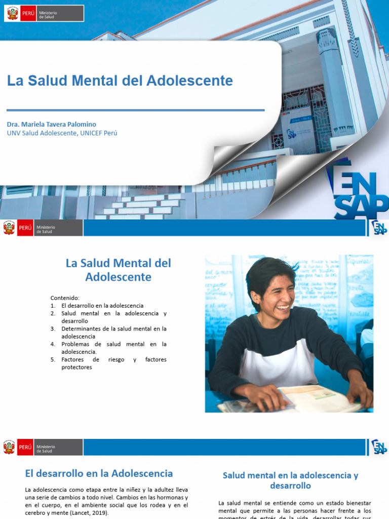 U01 S02 Salud Mental en La Adolescencia (Aula Virtual) | PDF | Salud ...