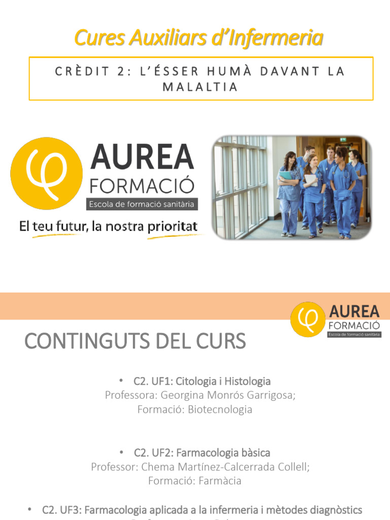Tema 1 Estructura Cel Lular | PDF