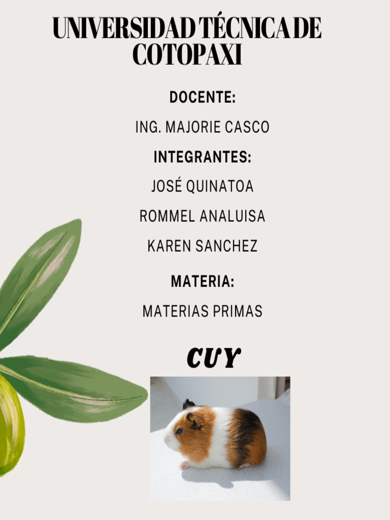 Produccion de Cuy | PDF | Conejillo de indias | Ecuador
