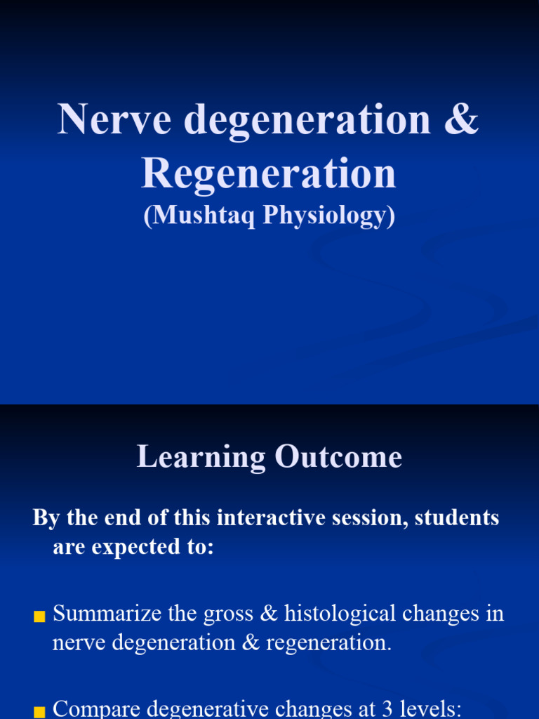 Nerve Degeneration & Regeneration | PDF | Neuron | Axon