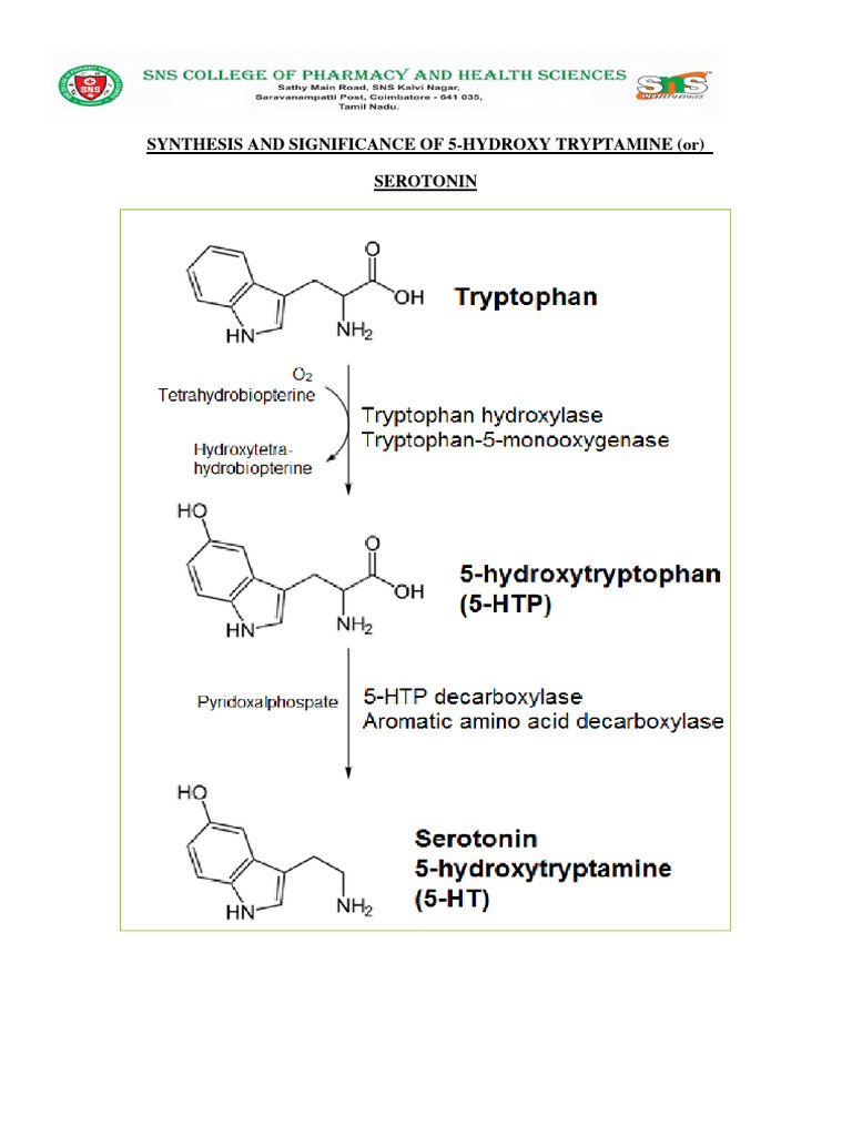 Synthesis and Significance of 5-Hydroxy Tryptamine (Or) Serotonin ...