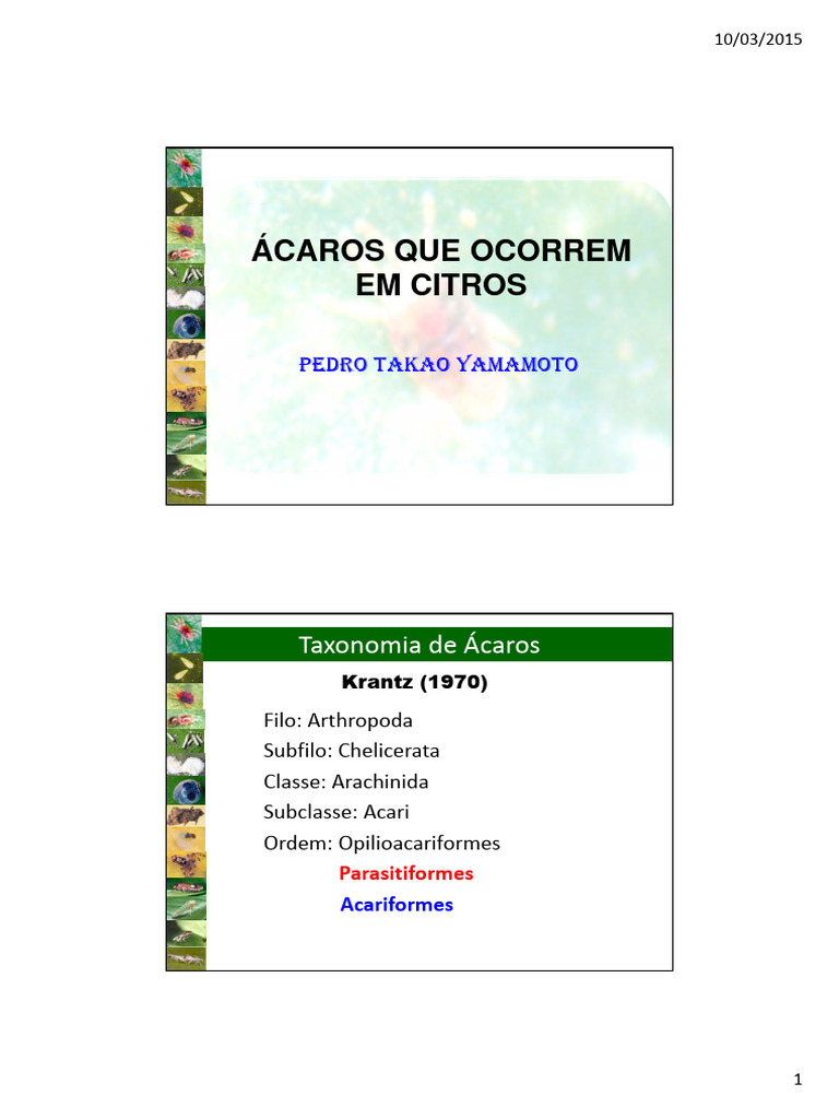 Ácaros Que Ocorrem em Citros | PDF | Artrópodes