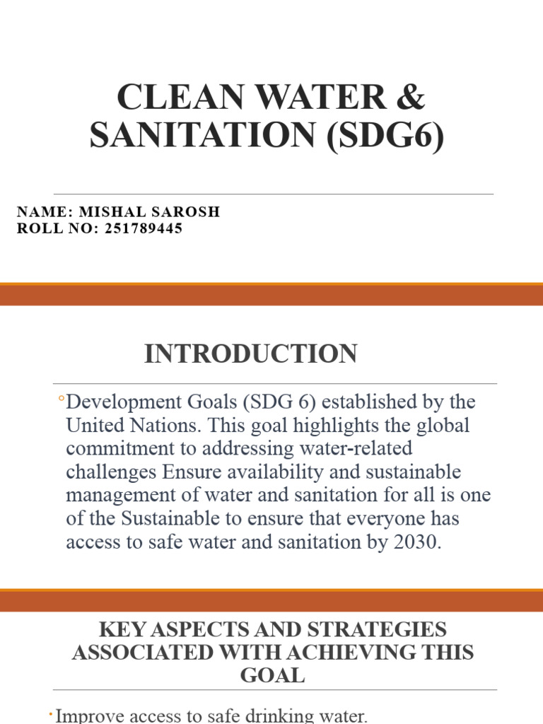 Clean Water & Sanitation Strategies | PDF