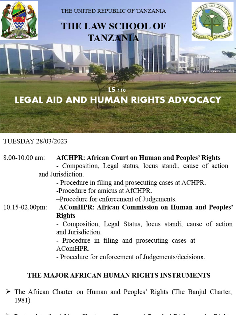 On African Court Jurisdiction and Pprocedures | PDF | Amicus Curiae ...