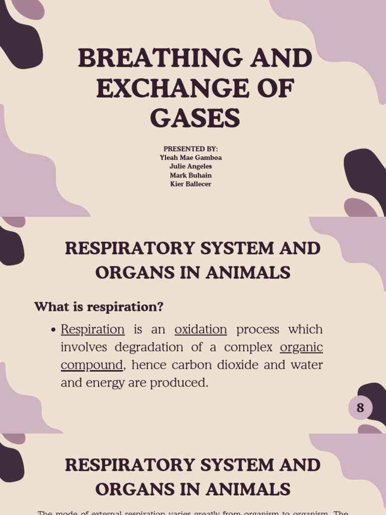 Breathing and Exchange of Gases | PDF | Respiratory Tract | Respiratory ...